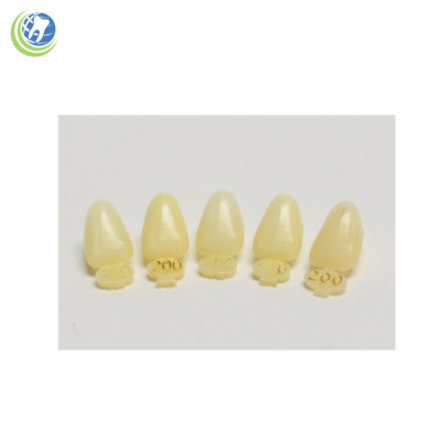 Cromos Eurocopa DENTAL POLYCARBONATE TEMPORARY CROWNS #29 (ULL) UPPER ...