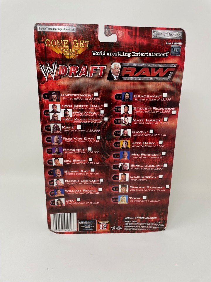 WWE RAW DRAFT LIMITED EDITION #14 RAVEN WRESTLING FIGURE JAKKS 2002 MOC ...