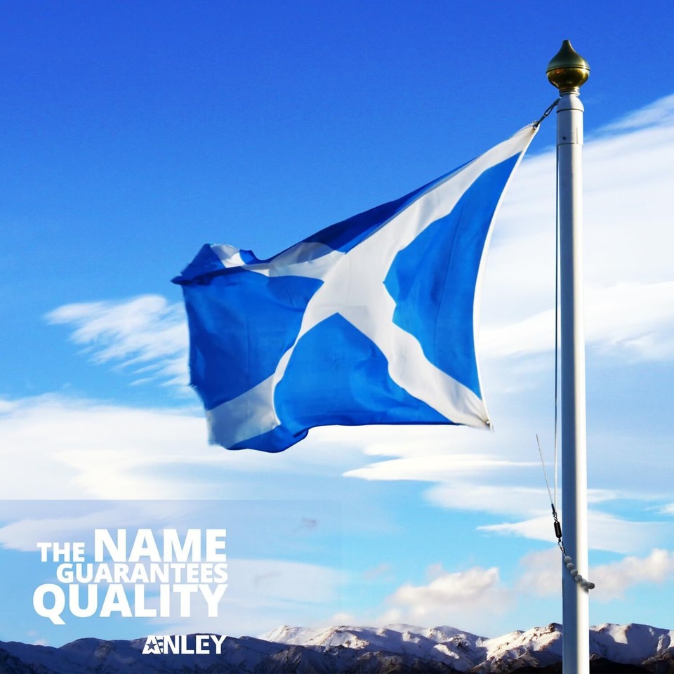 Anley Beaded Flag Retainer Ring for Halyard Flagpole - for 2 to 3 Inch ...