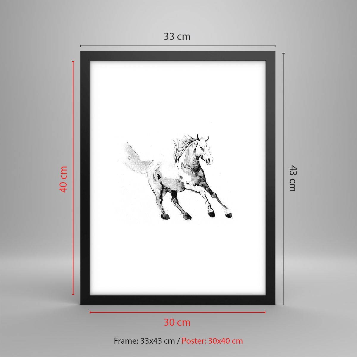 Affiche Poster 30x40cm Tableaux Image Photo Cheval Galop Des Animaux ...