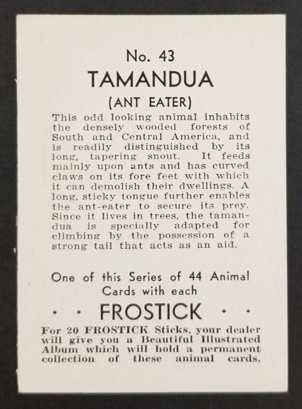 Ant Eater 1933 Frostick F55 Animal Card #43 (EX Minor Corner Wear) | eBay