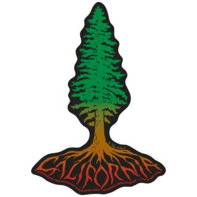 California Redwood Roots Vinyl Decal Sticker by Tim Ward / Life At Sea ...