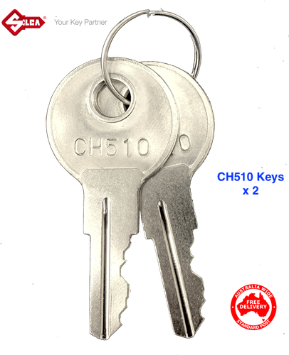 CH510 Keys x 2 -Flush Handle Paddle Lock -Tool Box Keys- Goliath ...