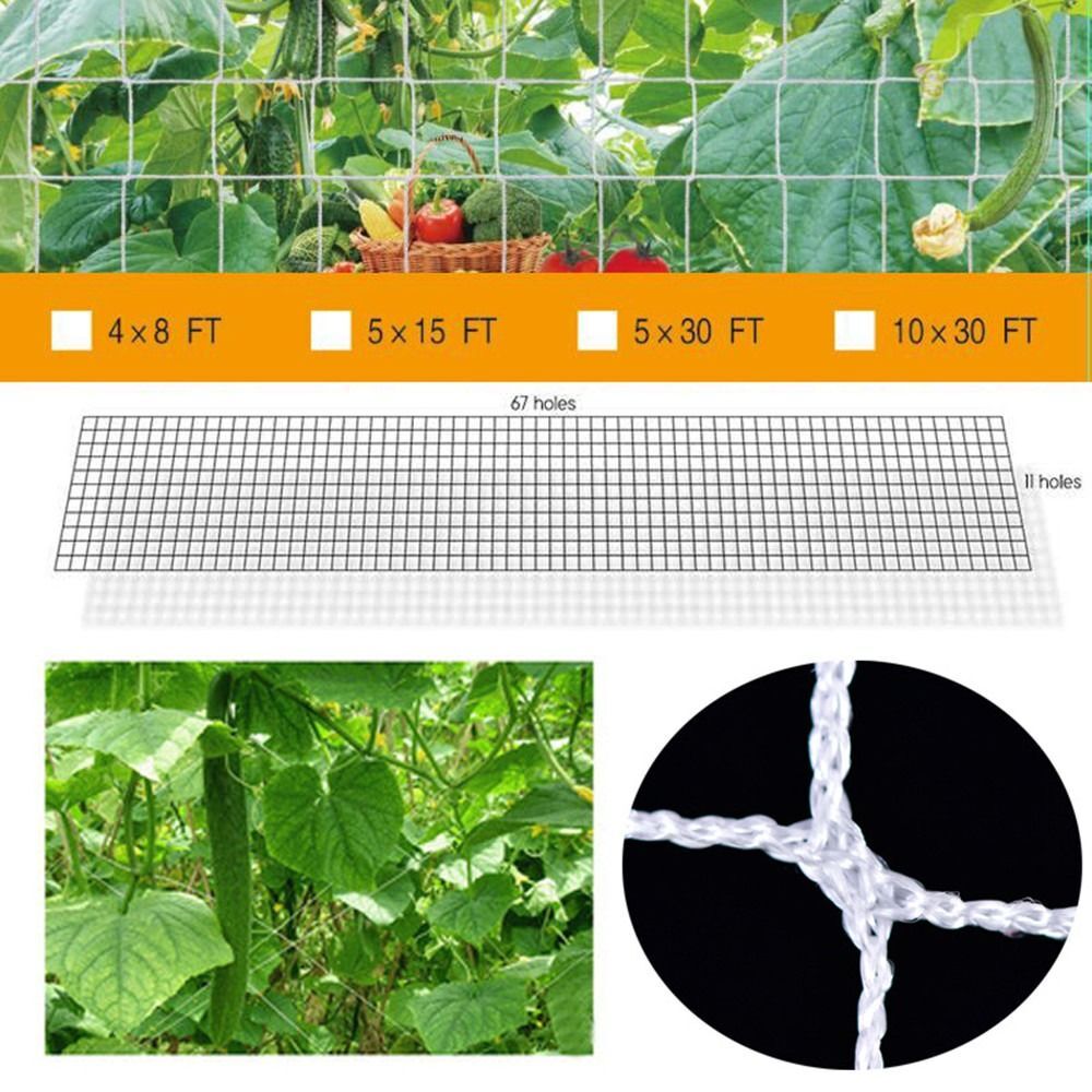 Garden Trellis Net Elastic Scrog Grow Tent Fence Plant Climbing Support ...