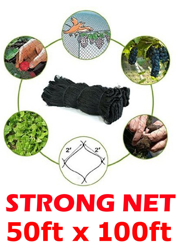 STRONG 50ft X 100ft Bird Netting Net For Bird Poultry Avaiary Game Pens ...