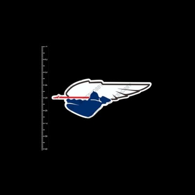 Sukhoi Logo Sticker (Size 11 cm x 4.5 cm) | eBay