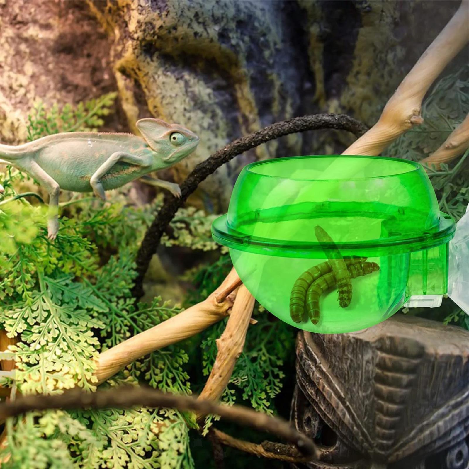 Reptile Feeder Bowl Cage Accessories Suction Cup for Frog Small Animal ...