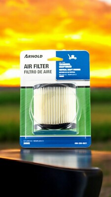 Arnold Paper Air Filter for 4-Cycle Engine For 36905 Sears / Tecumseh ...