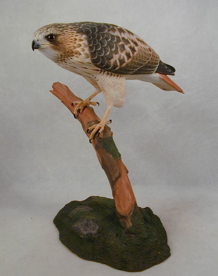 Red-tailed Hawk Original Wood Carving | eBay