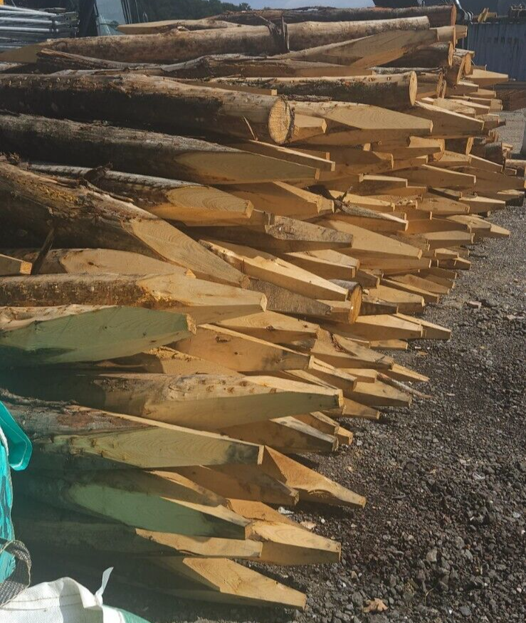 8ft Chestnut Stakes | eBay UK