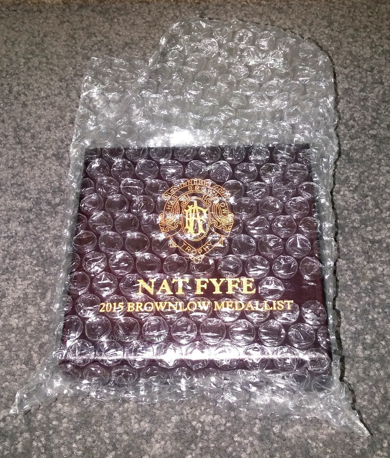 NAT FYFE FREMANTLE DOCKERS OFFICIAL AFL BROWNLOW MEDAL REPLICA IN BOX ...