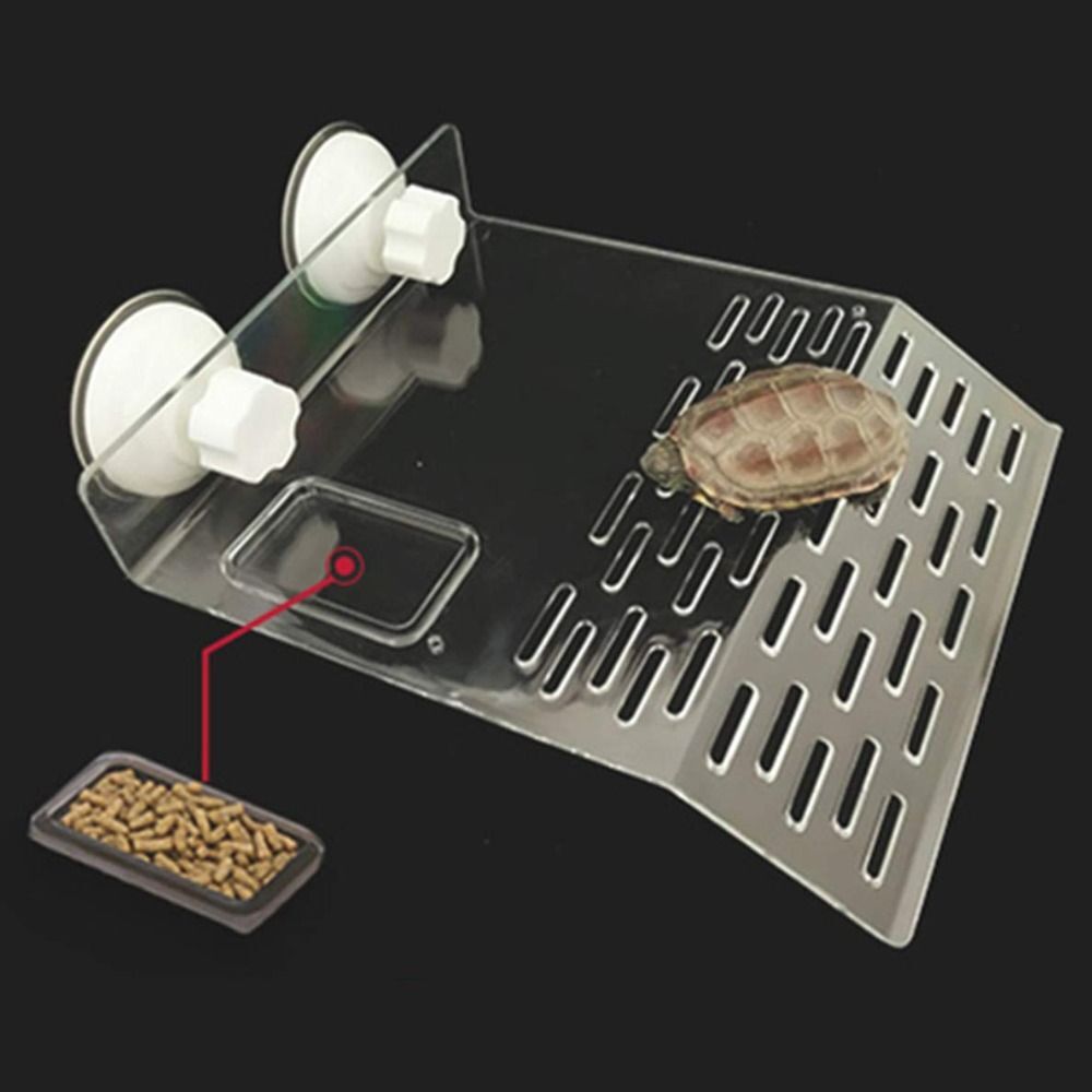 Large Size Turtle Basking Platform Plastic Climbing Ladder | eBay