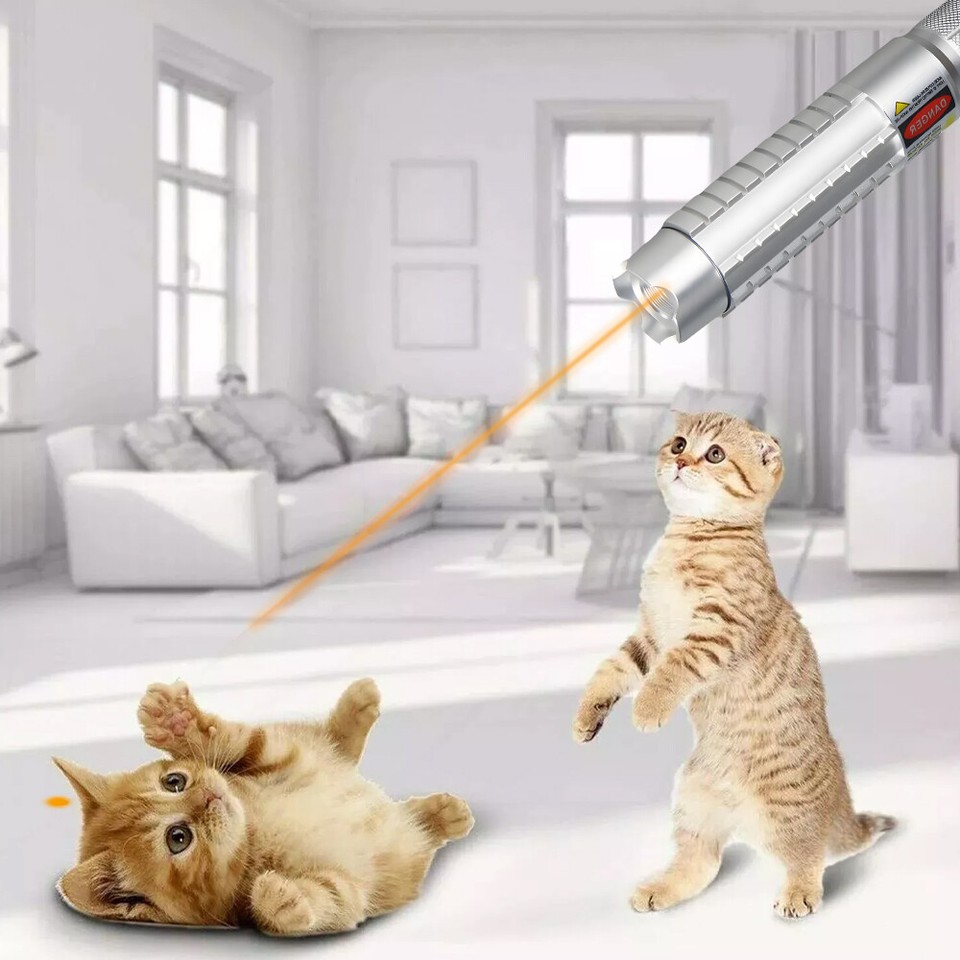 Pro 8000M 591nm Golden Yellow Laser Pointer Wicked Lasers Upgraded with ...