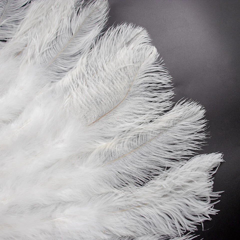 2023 women new Ostrich Feather Fan Carnival Party Feather Fan | eBay