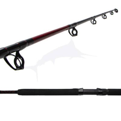 Penn Warfare Trolling/Stand Up Big Game Boat Rod 50-100lb 5ft 7inch ...