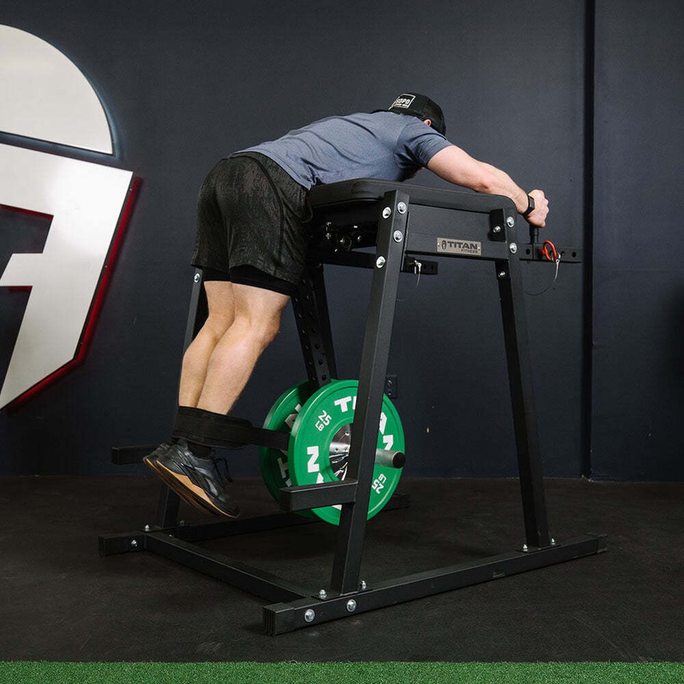 Titan Fitness Economy H-PND, Reverse Hyperextensions Lower Body Machine ...