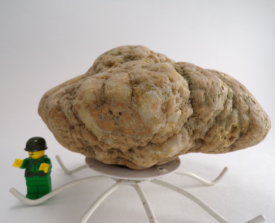 6.5" Large Unopened Uncut Bumpy Geode Nodule 3 LB Crystal Quartz Unique ...