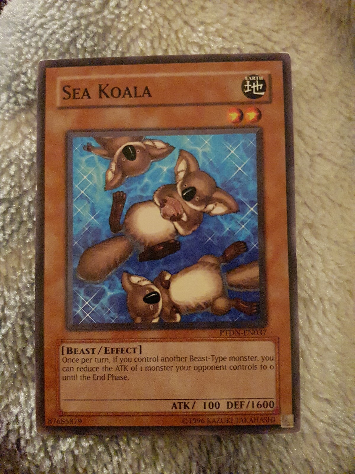 1x YuGiOh TCG Sea Koala PTDN EN037 Trading Card Game | eBay