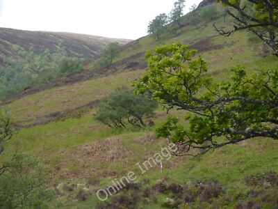 Photo 12x8 Looking towards Coire Choille-rais Gairlochy/Geu00e0rr ...