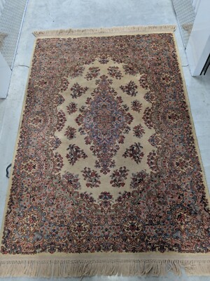Karastan Rug Discontinued Pattern 781 4by6 Approx Beautiful Ivory Base ...
