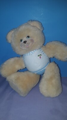 VTG 1998 Fisher Price Briarberry Bear BENBERRY Bear 9" Stuffed Animal ...