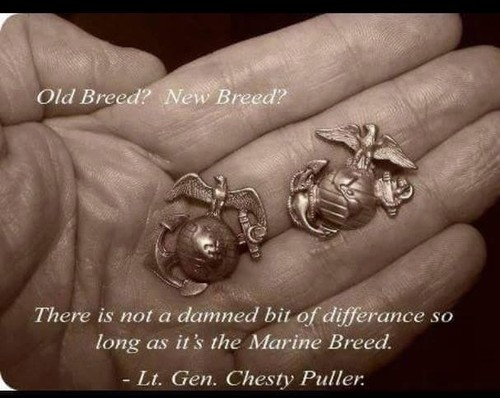 MOS 0621 FIELD RADIO PATCH HF VHF COMM US MARINES PIN UP MOS 2531 USS ...