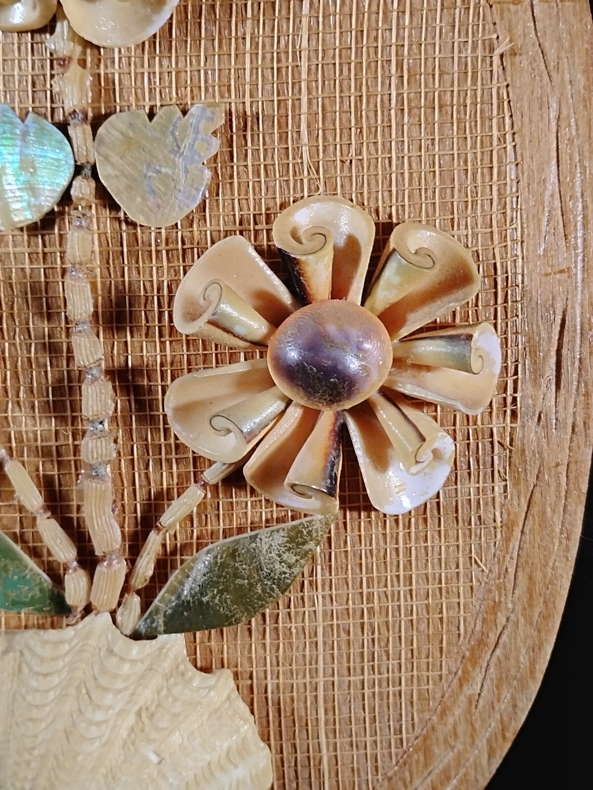 Vintage Handcarved Coconut Sea Shell Flower Wall Art Plaque Boho 55D | eBay
