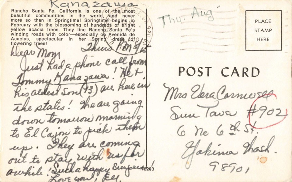 Rancho Santa Fe CA California, Blossoming Yellow Acacia Trees, Vintage ...