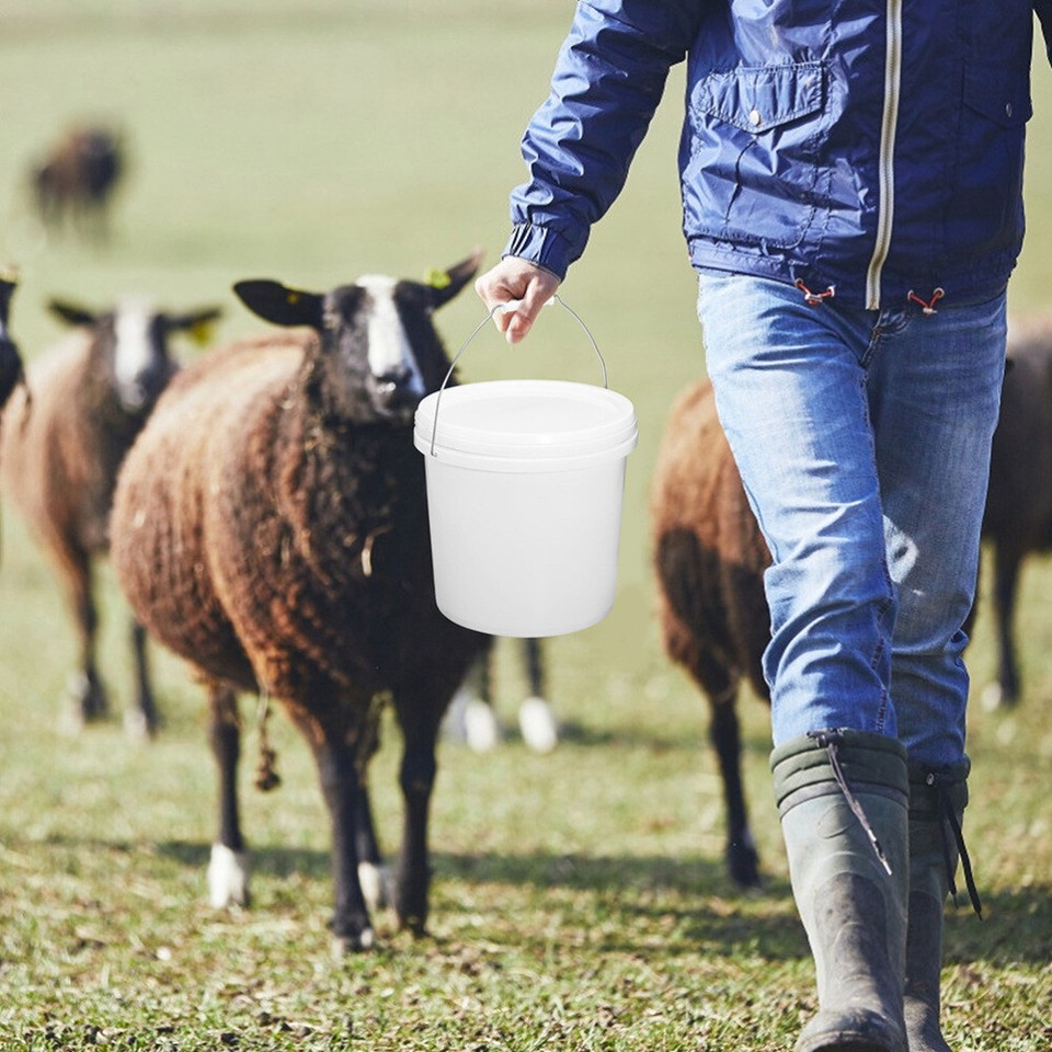 Small Bucket Household Sealed Barrel Travel Pail with Lid Fixed Clear ...