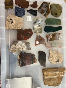 Bulldog Rocks | eBay Stores