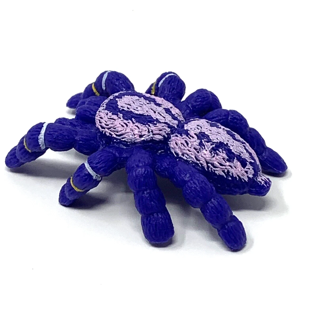 Peacock Parachute Spider