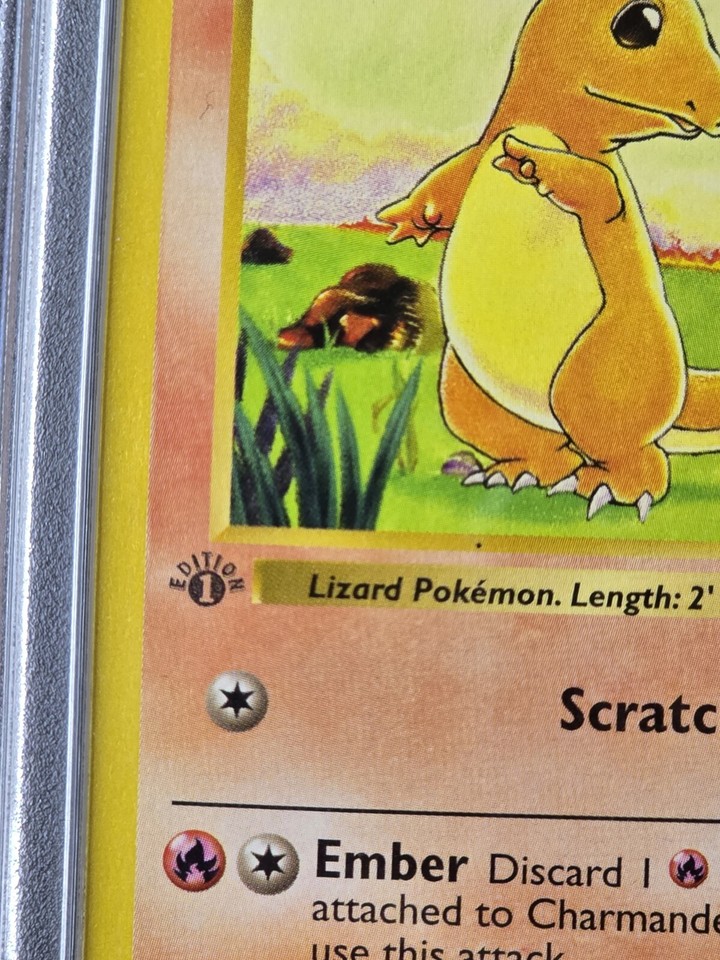 1st Edition Charmander PSA 10 #46 Shadowless Base Set Pokemon GREY ...
