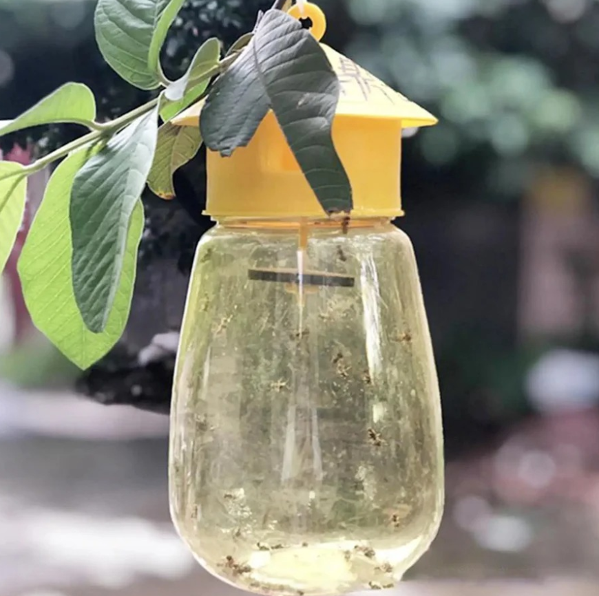 1pcs Plastic Fruit Fly Trap Killer Catcher for Garden, Orchard&Home ...