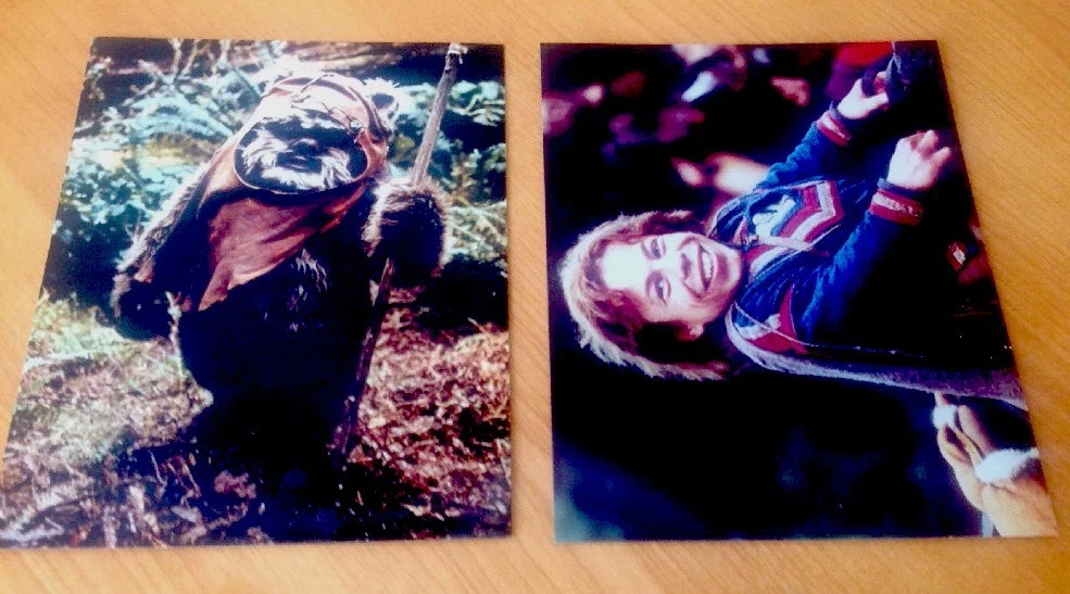 Warwick Davis Labyrinth