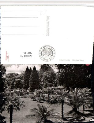 501336,Insel Mainau im Bodensee b. Konstanz Palmenhain Palmen | eBay.de