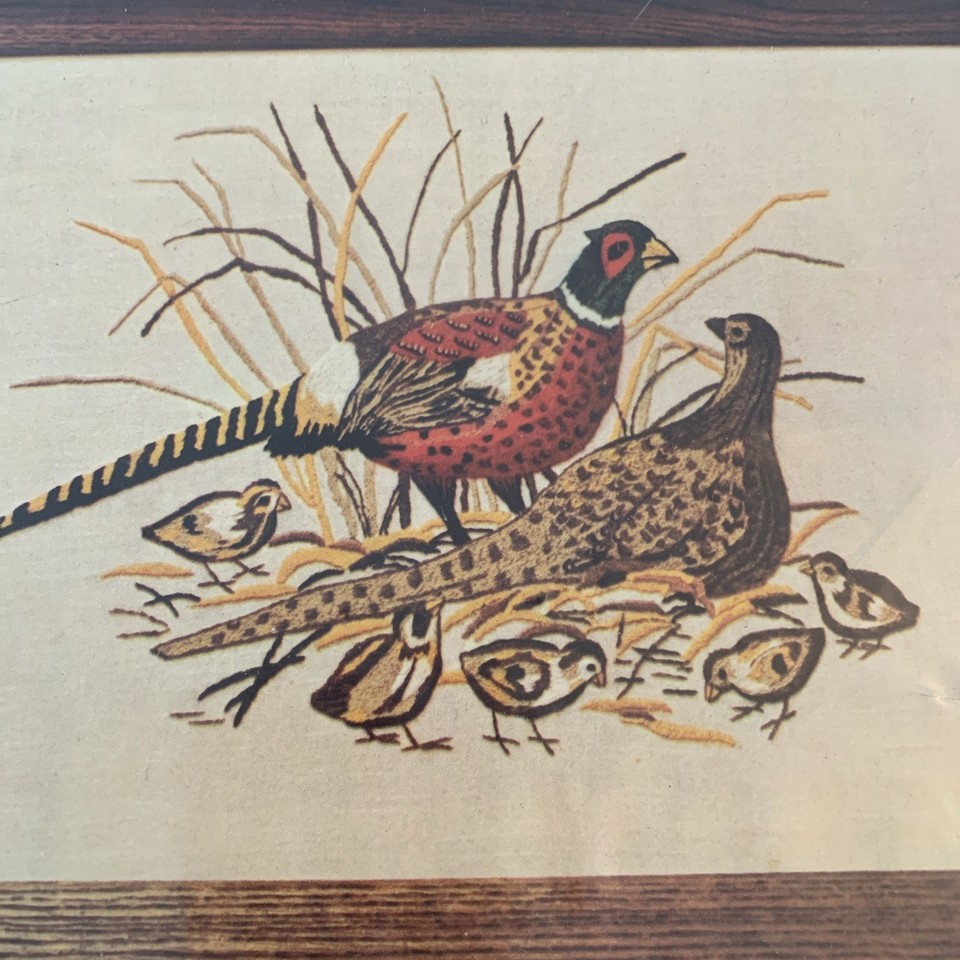 Needlecraft Wild Pheasants Embroidery Kit Avon Creative Crewel Vintage ...