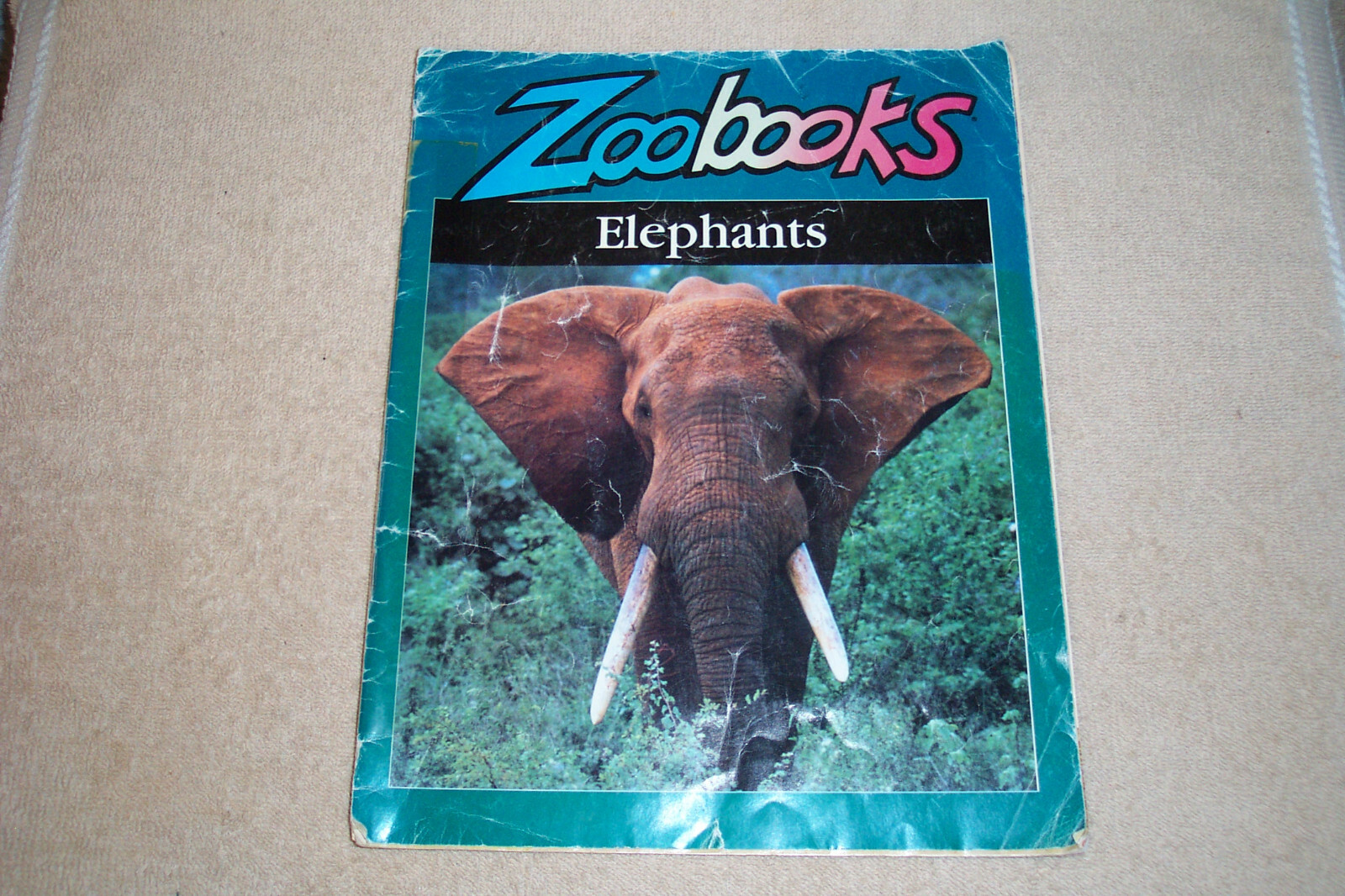 ZOOBOOKS SERIES " ELEPHANTS" 1995 WILDLIFE EDUCATION LTD. 9780937934005 ...