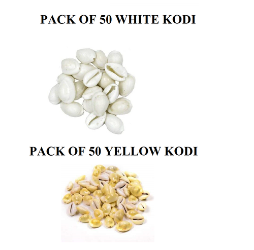 Lakshmi White and Yellow Kawri Kodi Cowrie Sea Shell Diwali Puja 100 ...