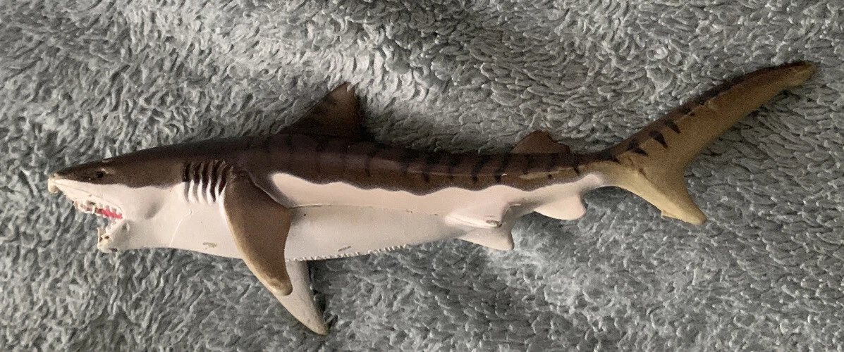 Tiger Shark In Action