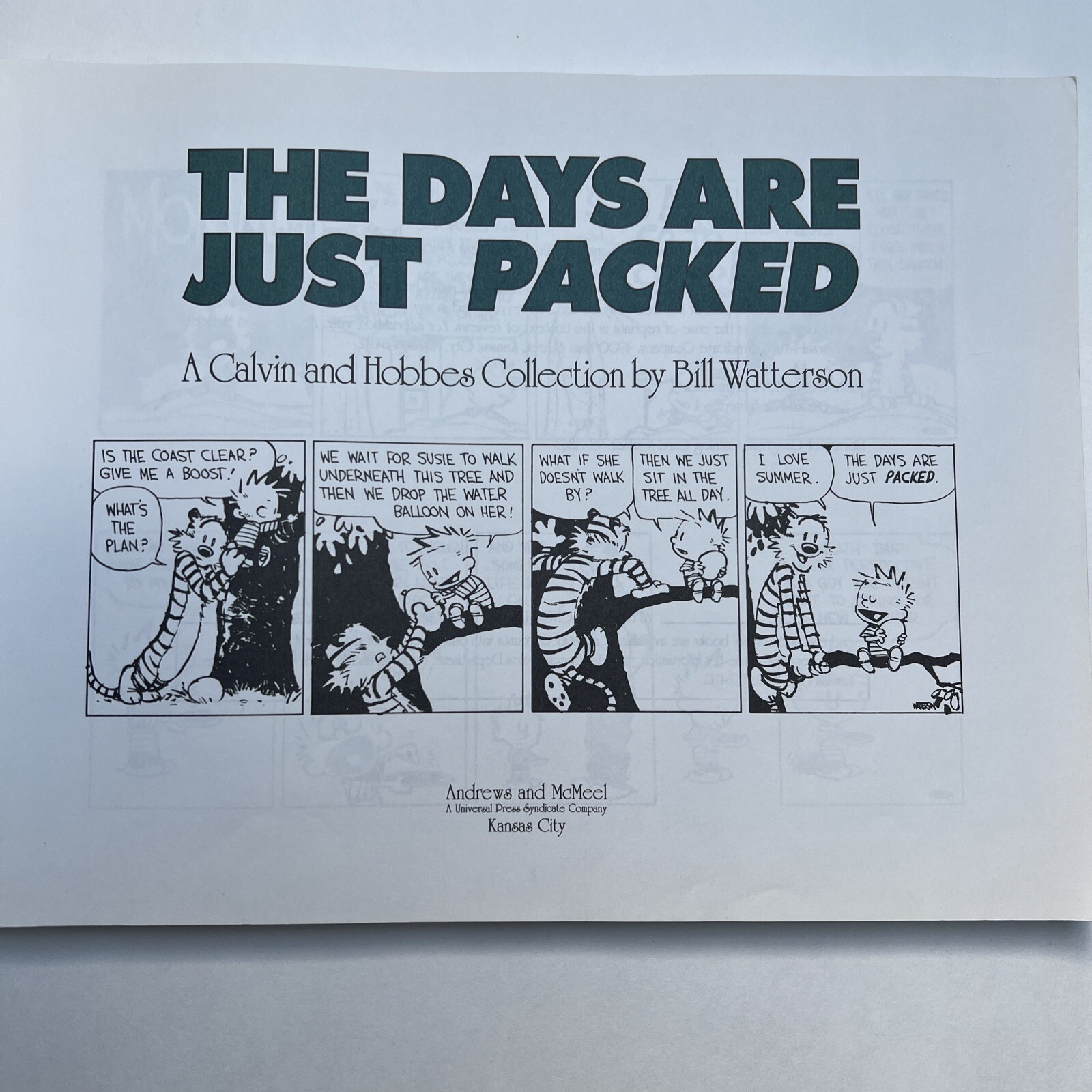 Calvin and Hobbes Collection Bill Watterson Lot of 3 Books Sunday Pages ...