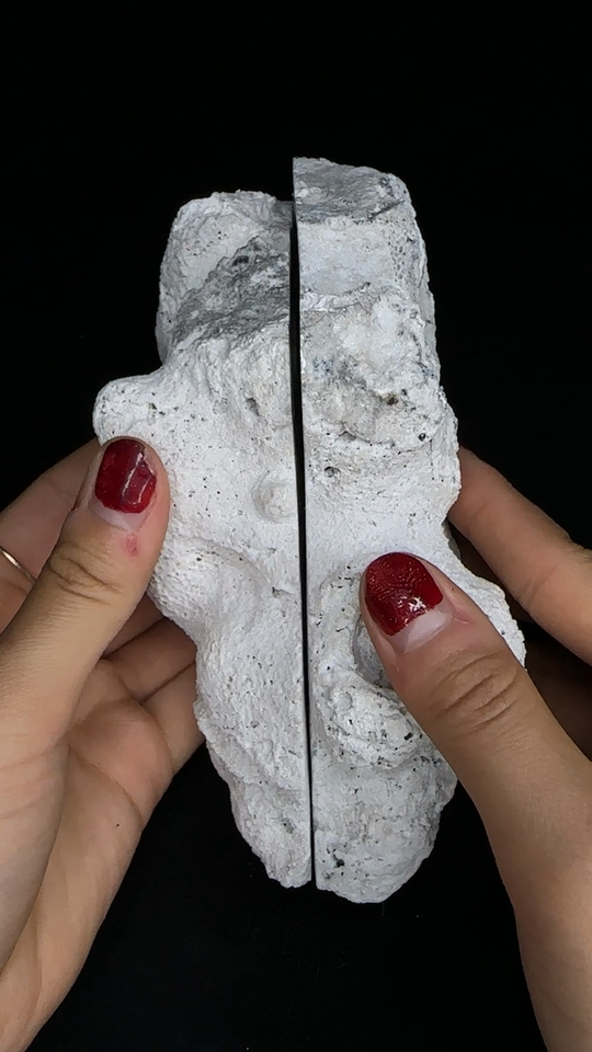 RARE Agatized Fossil Coral Geode Pair Brown/Blue Cut & Polished UV ...