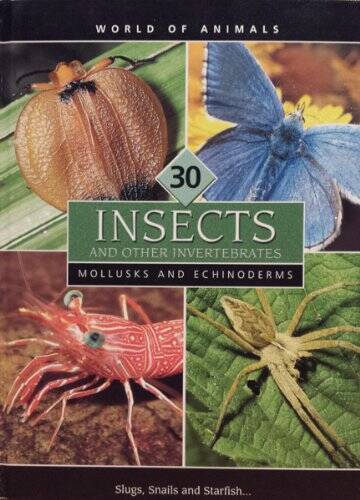 Insects and Other Invertebrates (World of Animals) - Hardcover - GOOD ...
