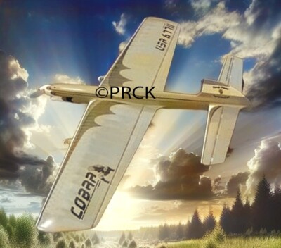 1/2A Cobra 35" Wingspan Control Line Model Airplane Printed Plans ...