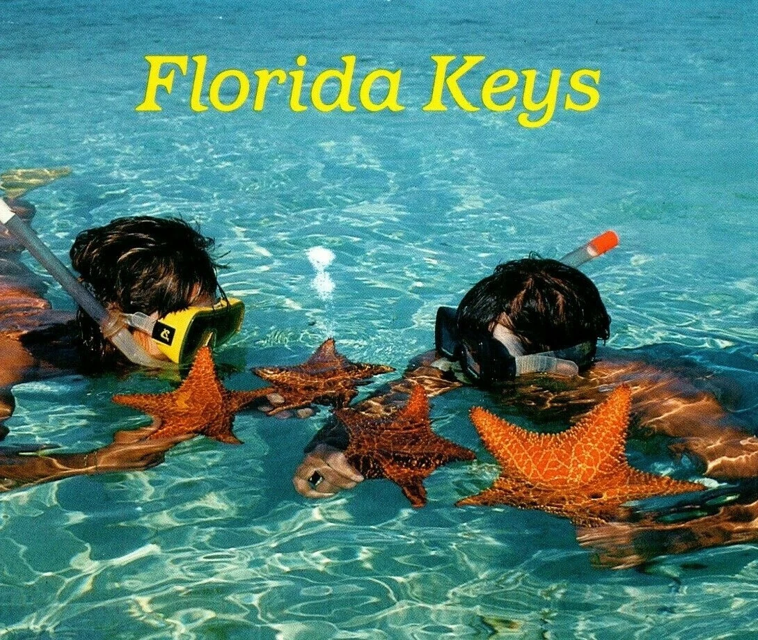 Florida Keys Underwater