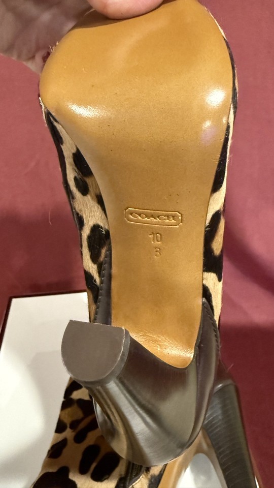 NIB COACH Leopard 10 B Anabelle Boots Booties A7091 Leopard Ocelot ...