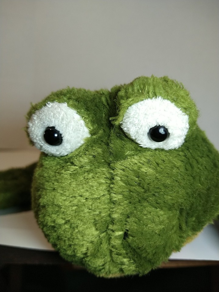 Heritage Collection by Ganz Green Frog Hand Puppet | eBay