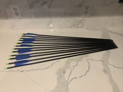12x Aluminum 30-inch Arrows | eBay