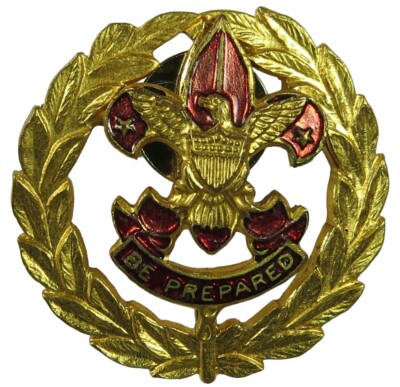 Council Executive Collar Brass Hat Pin (PIN-4236) | eBay