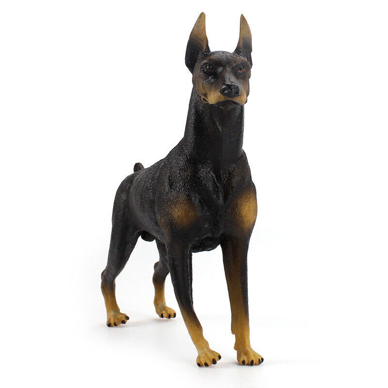 1/6 scale realistic black Doberman model police hound toy character ...