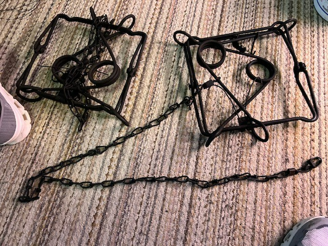 2- #330 Victor Conibear Traps - with extra chain and swivels | eBay